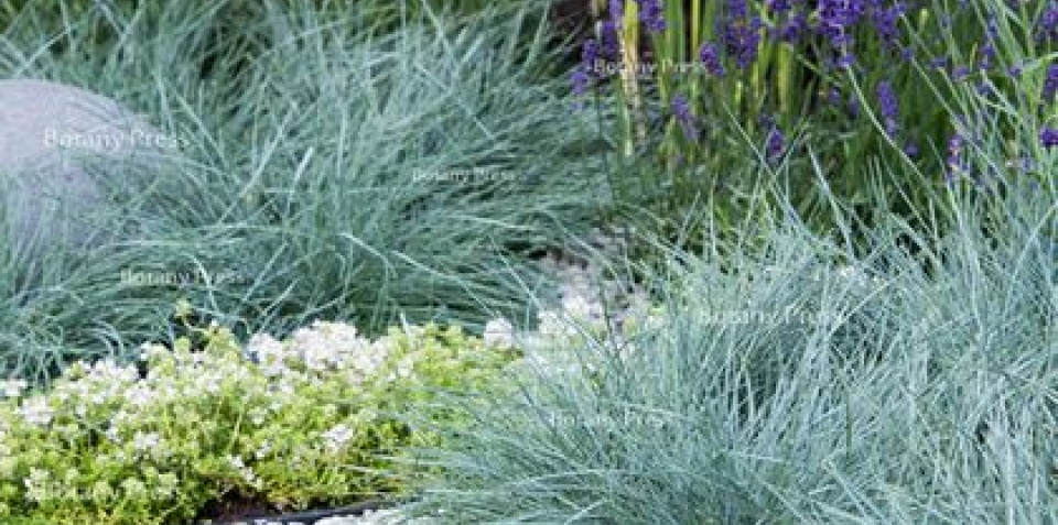 Hotel - planting design | Timotay Landscapes