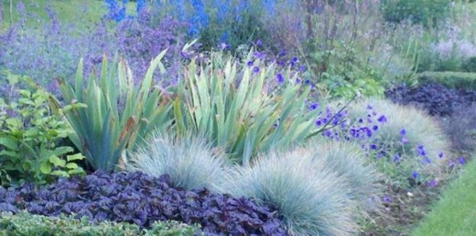 Hotel - planting design | Timotay Landscapes